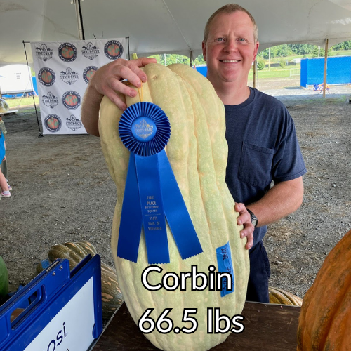 Giant Butternut Squash – Land O’ Giants